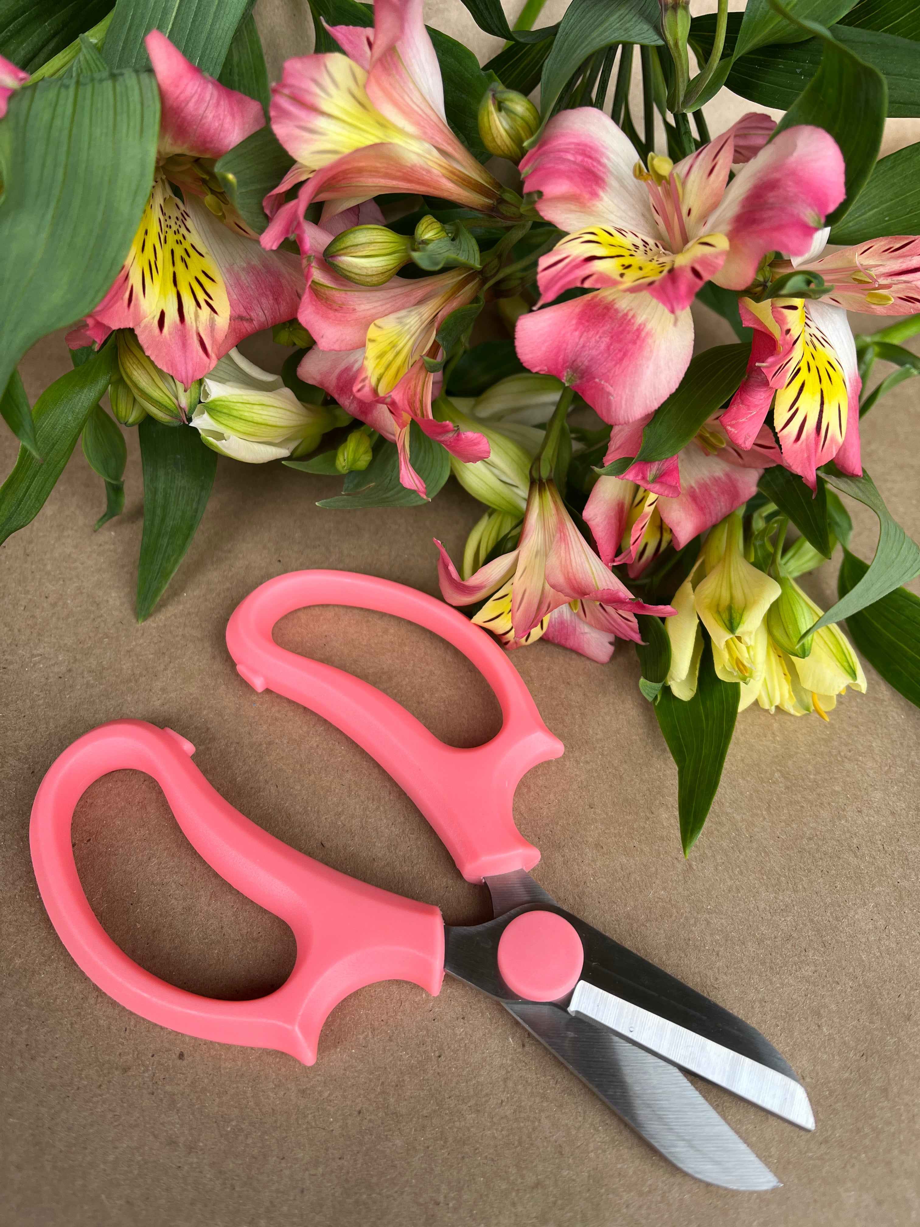 Shears and Wire – Bear's Blooms Supplies